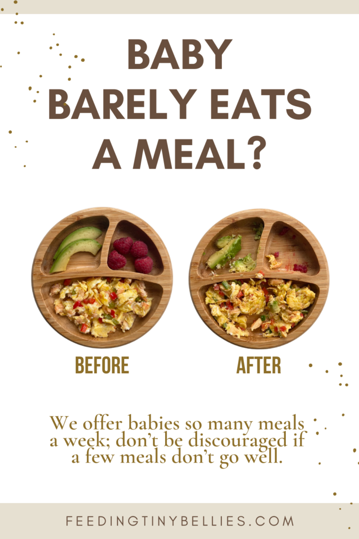 Transitioning Meals For Babies - How Many Meals To Offer Per Day ...