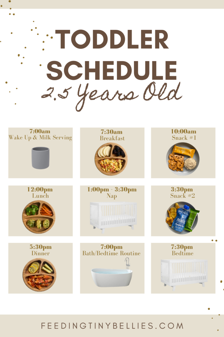 Baby & Toddler Feeding Schedule (By Age + Sample Schedules) - Feeding ...
