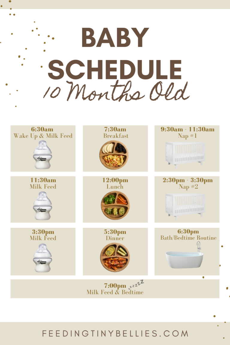Baby & Toddler Feeding Schedule (By Age + Sample Schedules) - Feeding ...