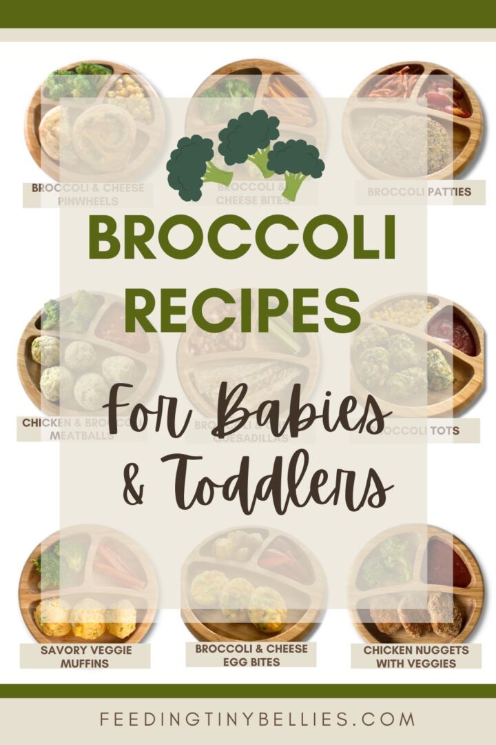 Broccoli Recipes For Babies And Toddlers - Feeding Tiny Bellies