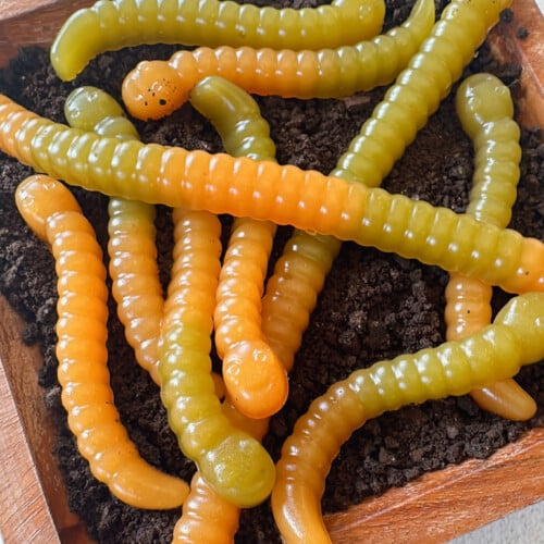 Homemade Gummy Worms - Feeding Tiny Bellies
