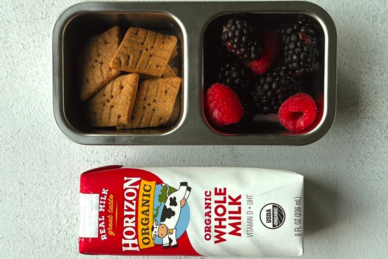 Healthy School Snacks For Kids - Feeding Tiny Bellies