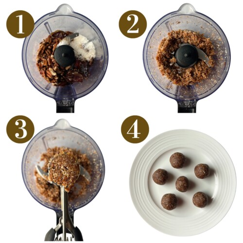 Date Bites - Feeding Tiny Bellies